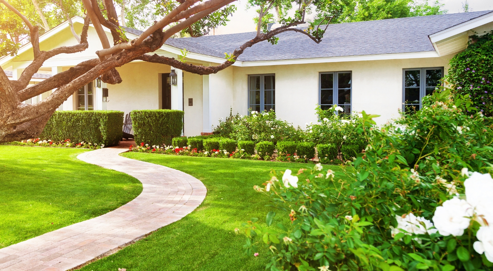 HAPO Community Credit Union - Bank on More